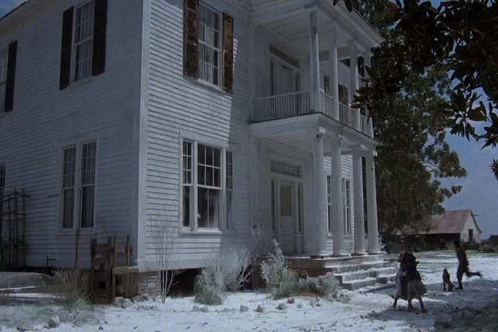 The Color Purple House - Old House Dreams