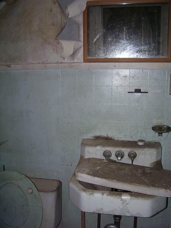 Exotic Revival - Oxford, NY - Old House Dreams