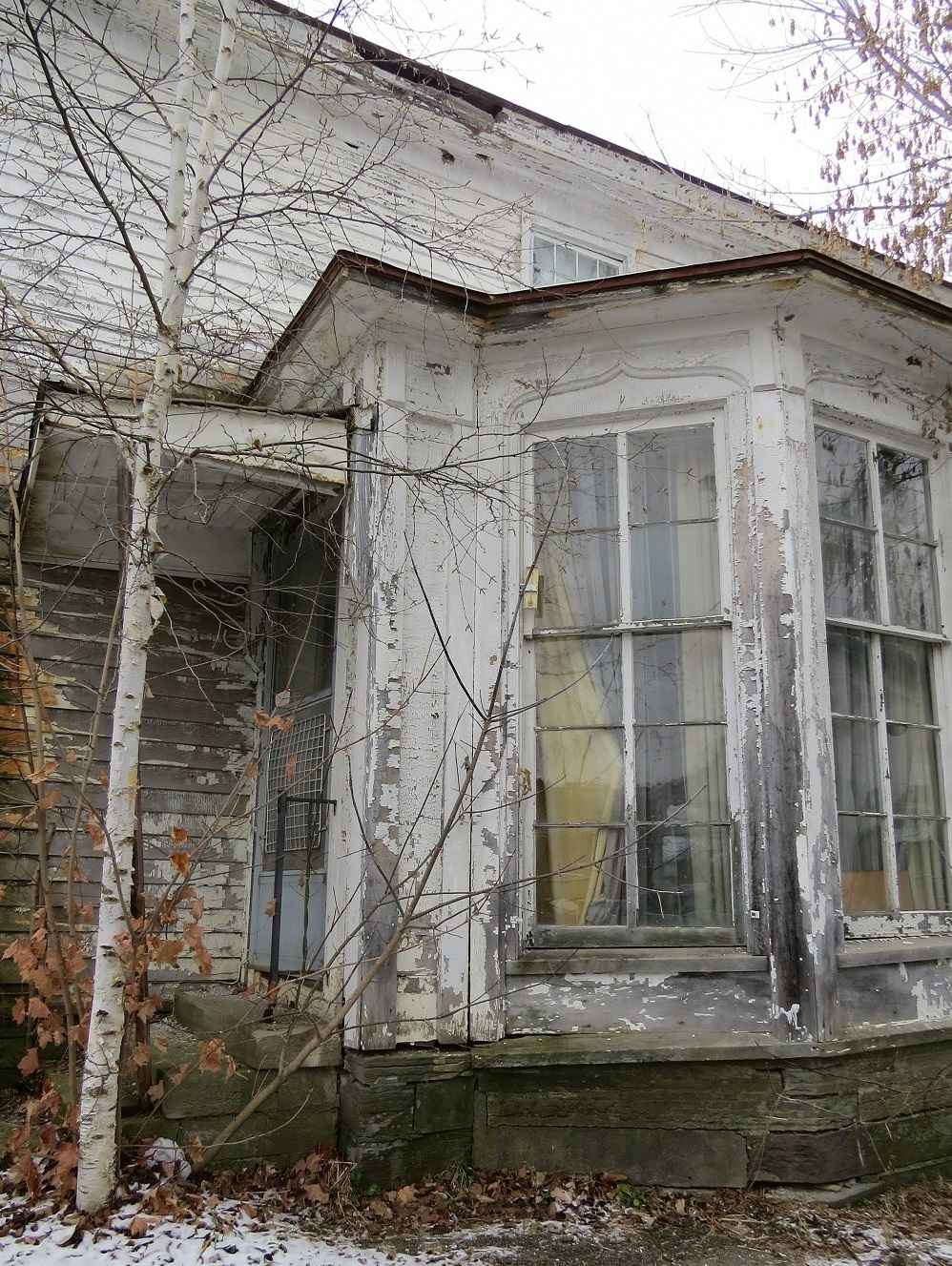 Exotic Revival - Oxford, NY - Old House Dreams