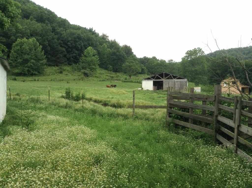 1913 - Orma, WV (Sears Kit) - Old House Dreams