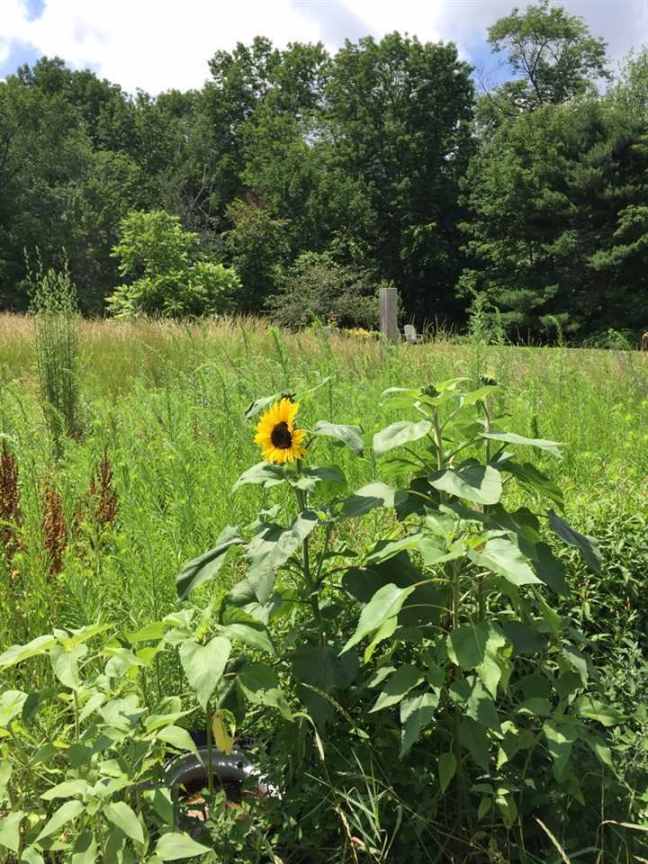1903 - Center Barnstead, NH - Old House Dreams
