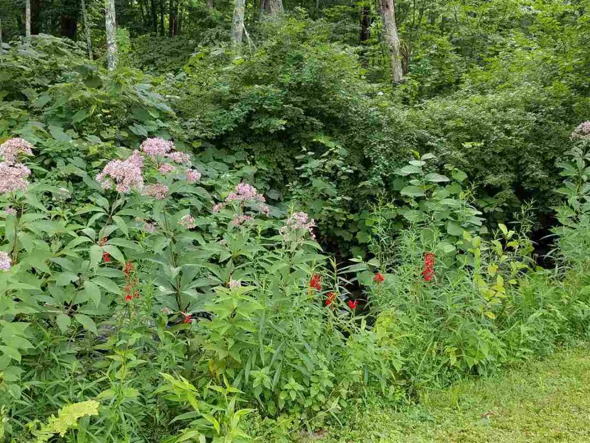 1903 - Center Barnstead, NH - Old House Dreams