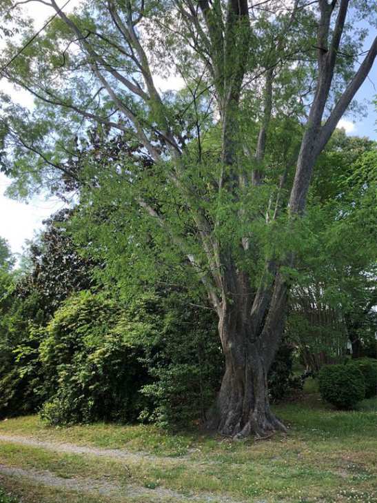 Clover, VA - Old House Dreams
