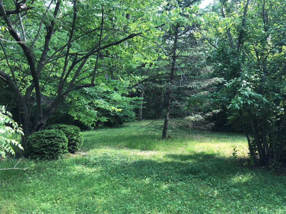 Clover, VA - Old House Dreams