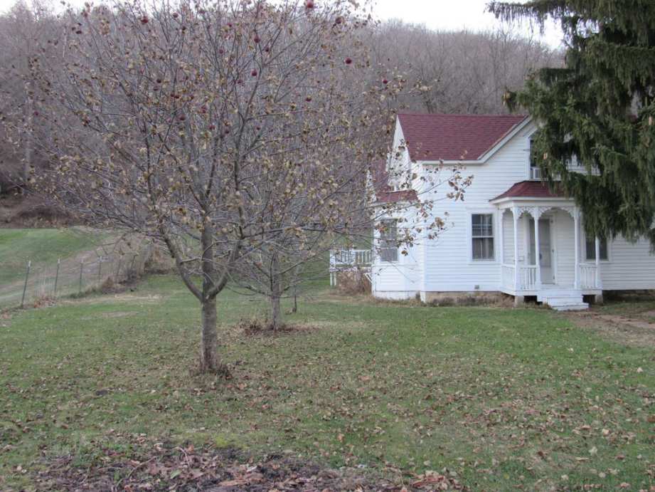 1885 Gothic Revival - Peterson, MN - Old House Dreams