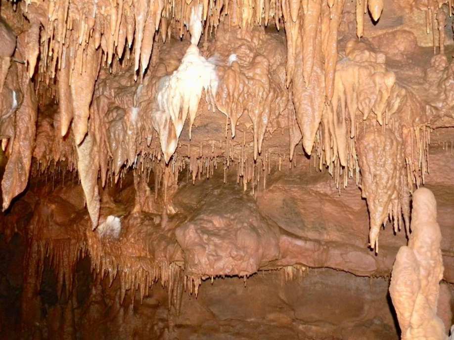 1893 Home & Crystal Cave - Springfield, MO - Old House Dreams