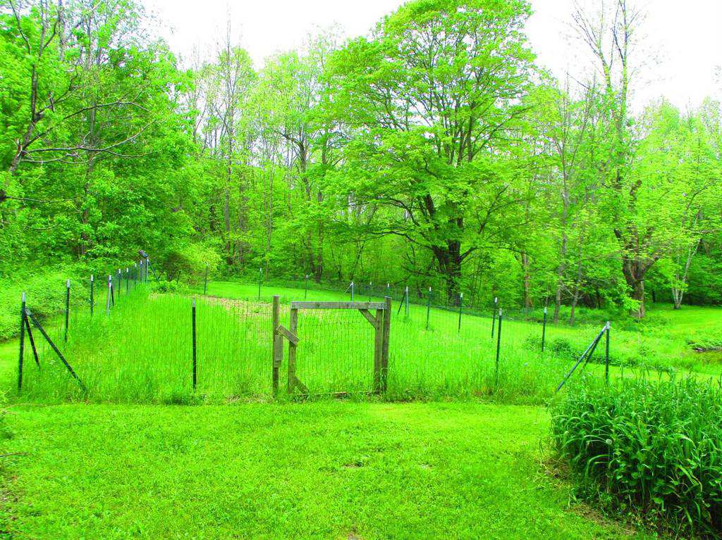 1797 - Decatur, NY - Old House Dreams