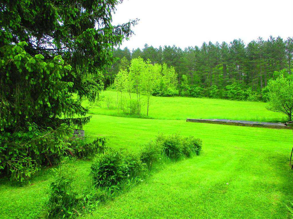 1797 - Decatur, NY - Old House Dreams