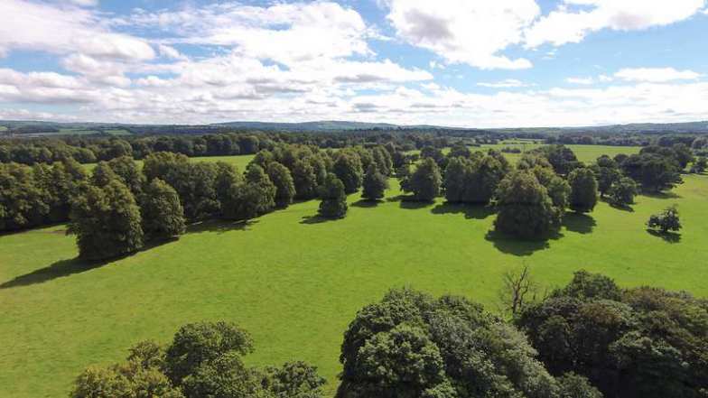 1773 Abbey Leix House in County Laois, Ireland - Old House Dreams