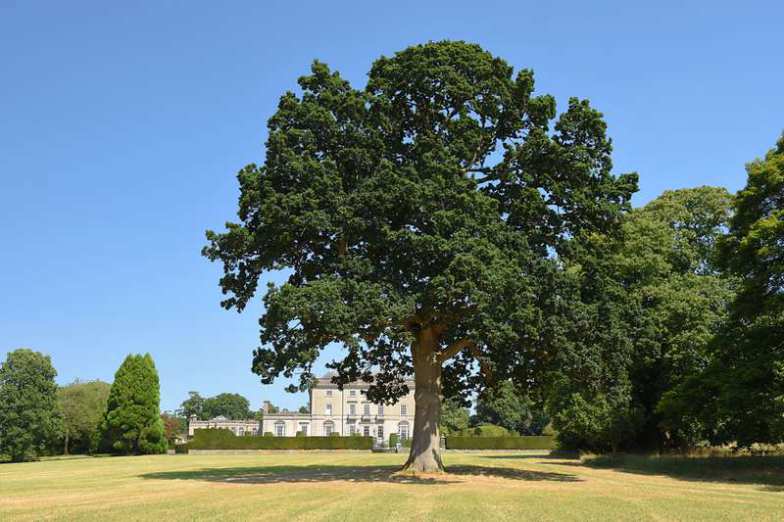 1773 Abbey Leix House in County Laois, Ireland - Old House Dreams