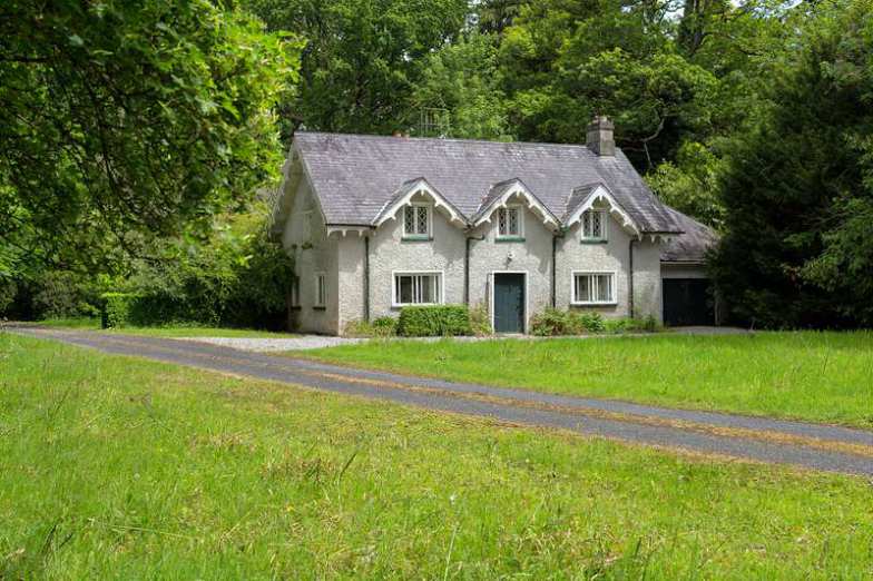 1773 Abbey Leix House in County Laois, Ireland - Old House Dreams