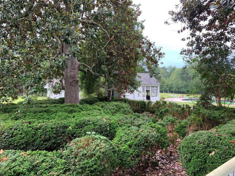 1825 Federal in Bradley, SC - Old House Dreams