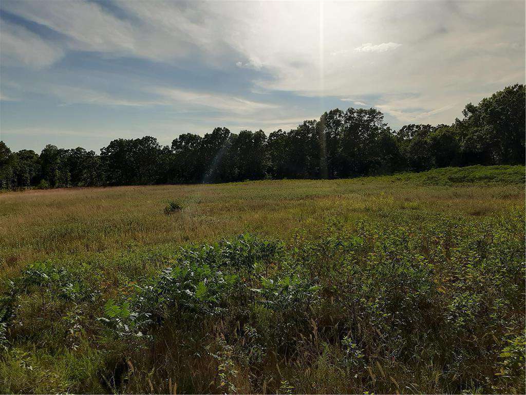 School in Milo, MO - Old House Dreams