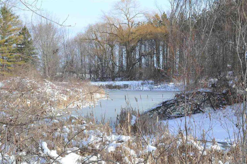 c. 1870 - Applegate, MI - Old House Dreams