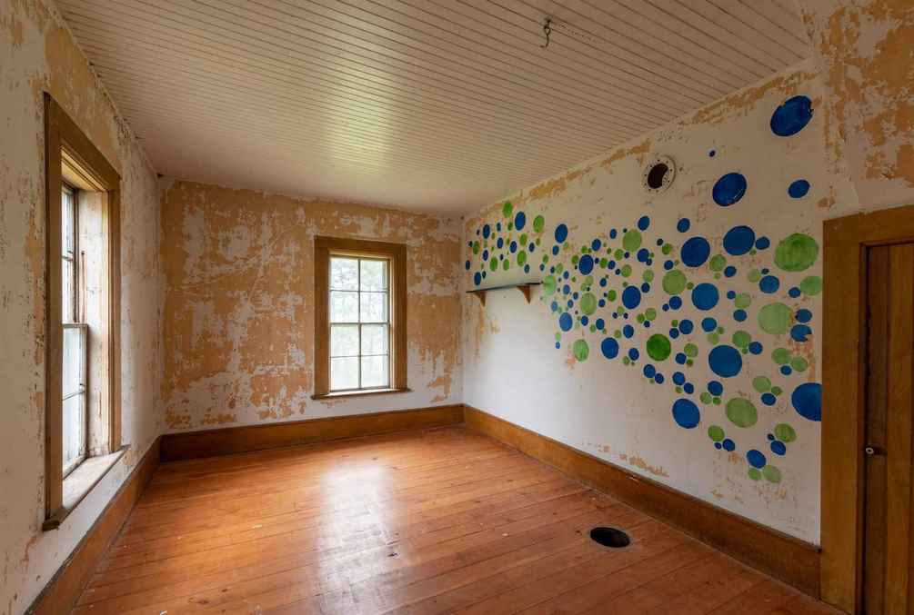 c. 1850 - Kenyon, MN - Old House Dreams