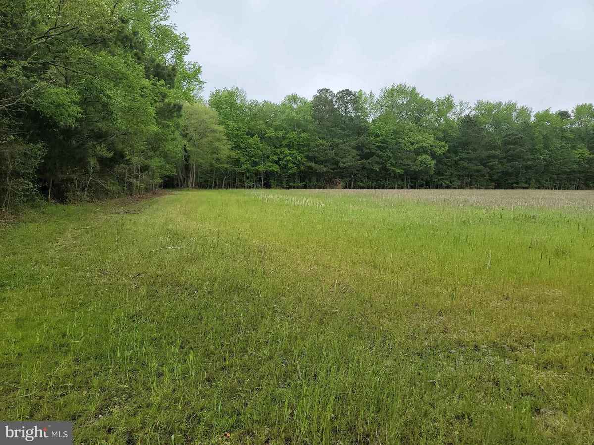 c. 1804 Federal in Tyaskin, MD - Old House Dreams