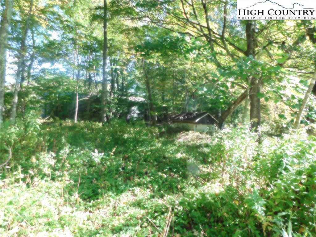 1884 in Linville, NC - Old House Dreams