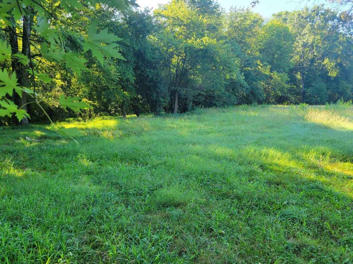 Castalian Springs, TN - Old House Dreams