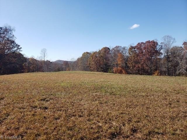 Sandy Ridge, NC - Old House Dreams