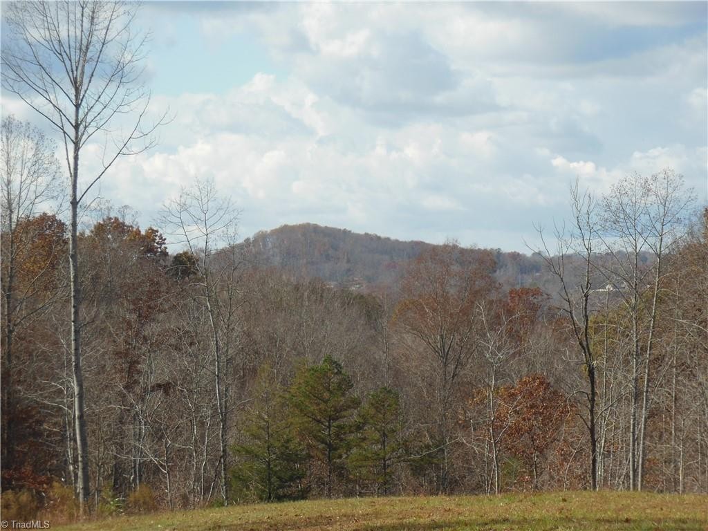 Sandy Ridge, NC - Old House Dreams