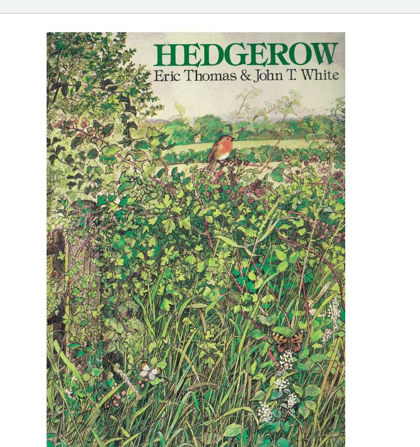 c. 1787 in Chaplin, CT - Old House Dreams