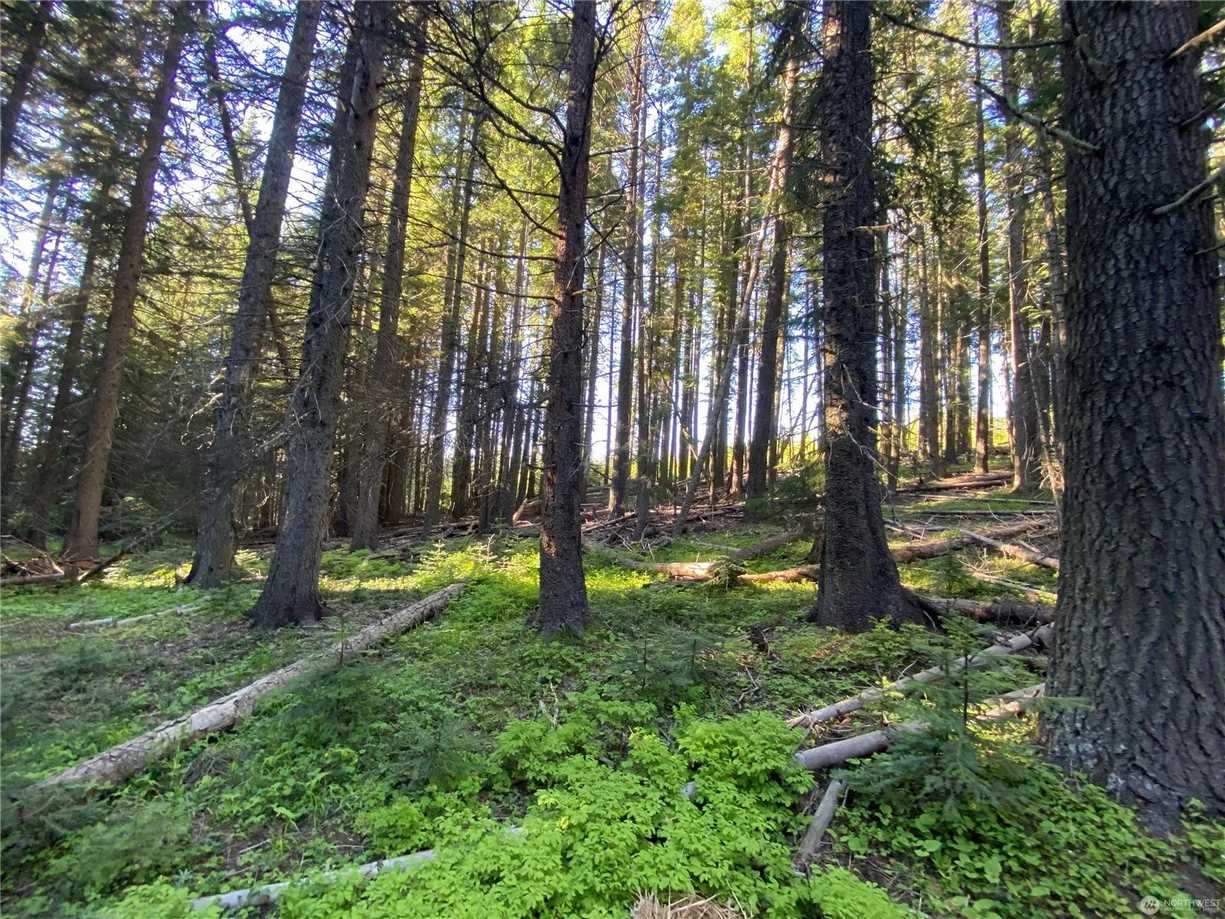 Log Cabin in Dayton, WA - Old House Dreams