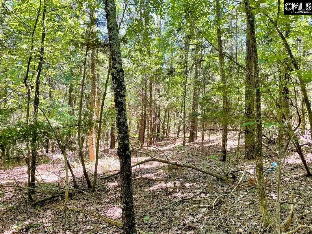 1812 Federal in Blair, SC - Old House Dreams