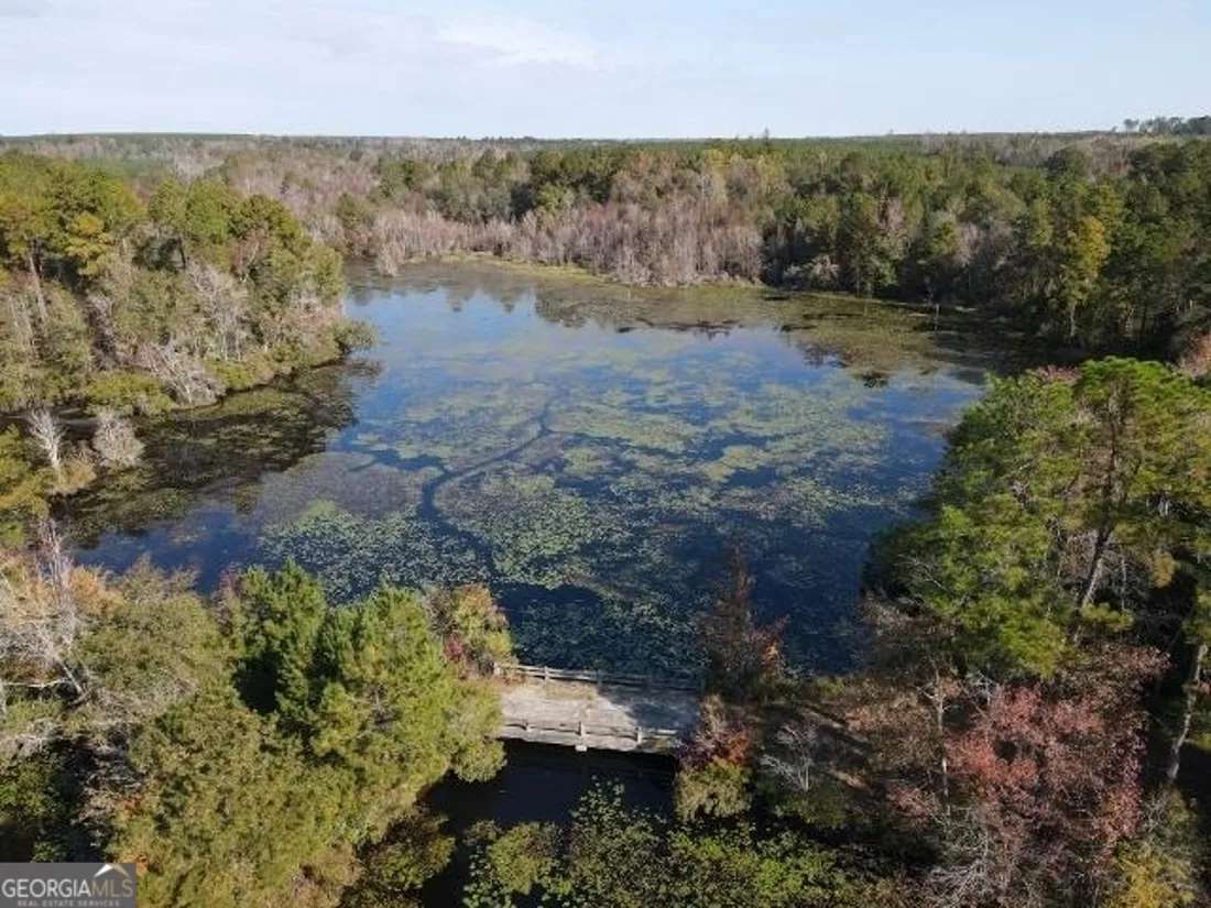 Adrian, GA - Old House Dreams