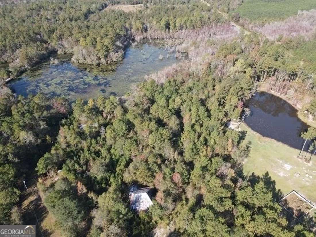 Adrian, GA - Old House Dreams