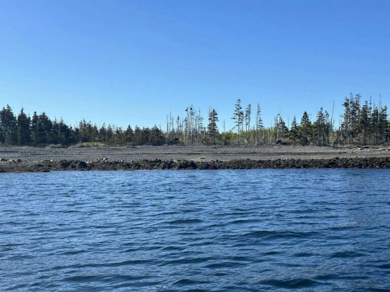 c. 1860 in Matinicus Isle Plt, ME - Old House Dreams