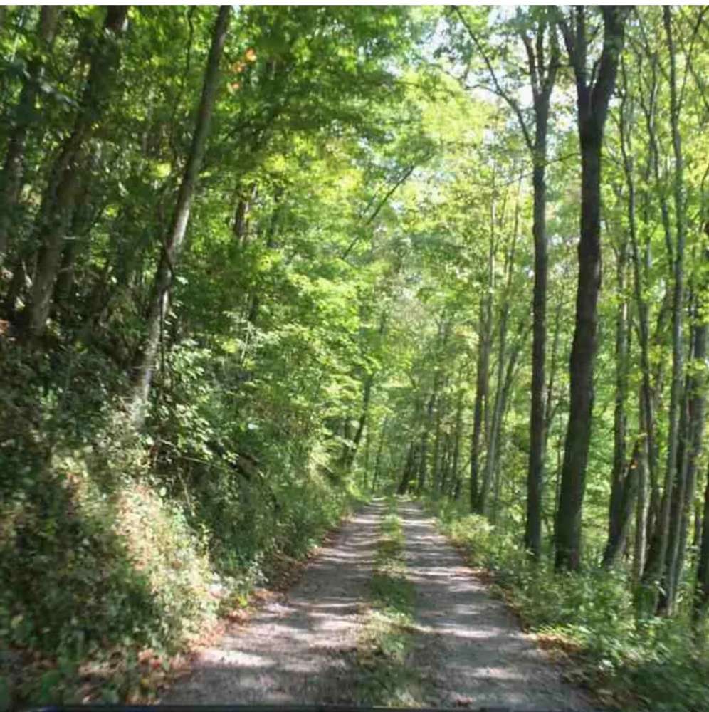 1892 in Renick, WV - Old House Dreams